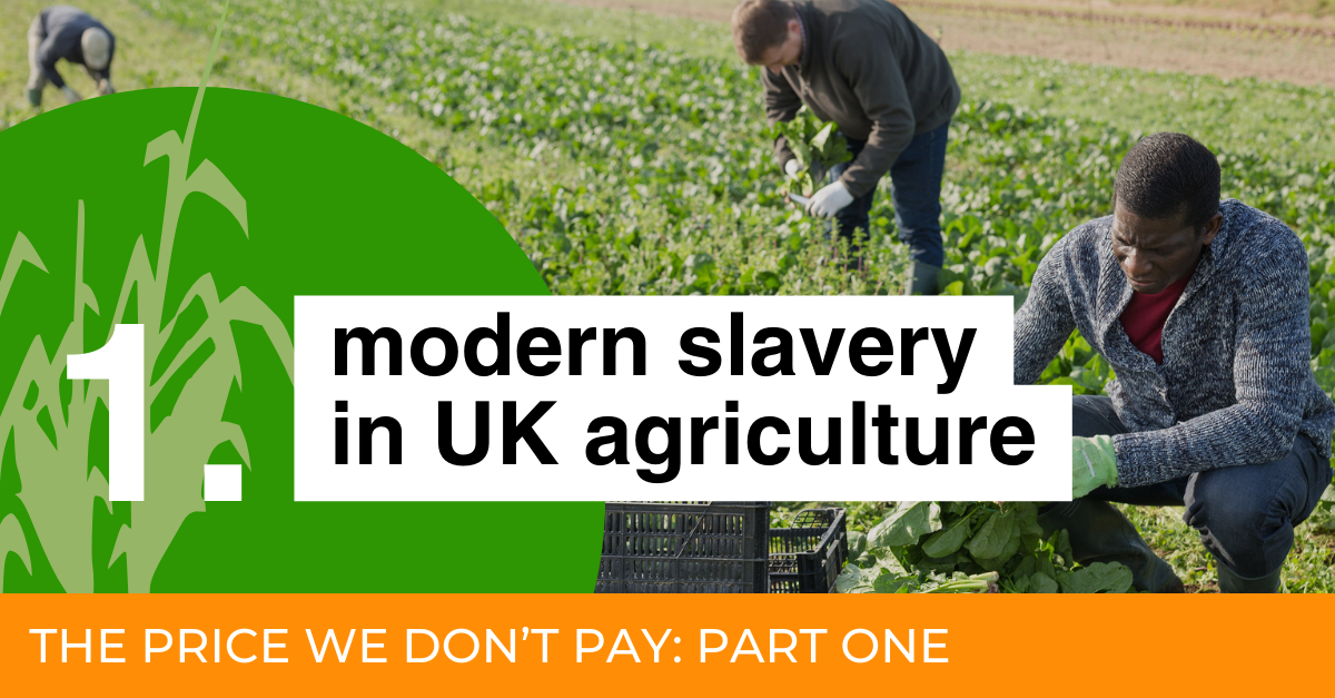 The price we don’t pay: modern slavery in UK agriculture - Unseen